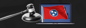 Tennessee Background Check: State Laws & Screening Information | The ...